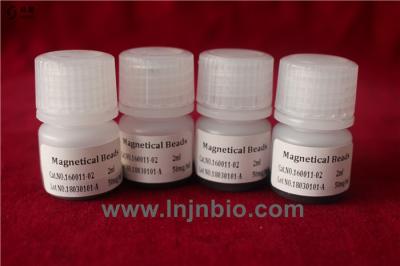 China Whole blood genomic DNA extraction and purification magnetic particle for sale