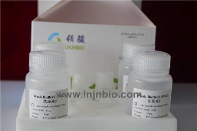 China High quality Animal Genomic DNA Extraction Kit (magnetic beads method) for sale