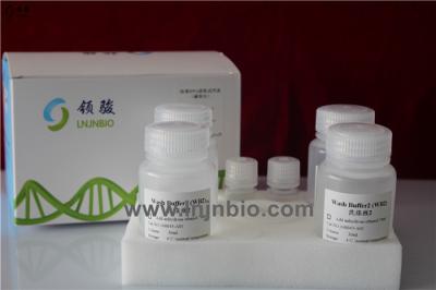 China Lnjnbio Hot sale Free DNA Extraction Kit (magnetic beads method) for sale