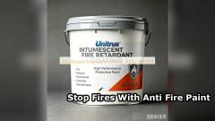 Fire Proof Your Home With Anti Fire WB Paint