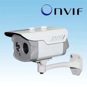 Cina H.264 impermeabilizzano la macchina fotografica del IP di Megapixel con una gamma di matrice 20m IR del LED per uso all'aperto in vendita