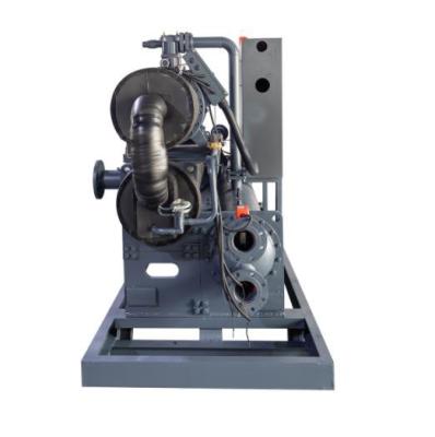 Cina Refrigeratore industriale con raffreddamento ad acqua glicolata Refrigeratore a bassa temperatura a vite in titanio in vendita