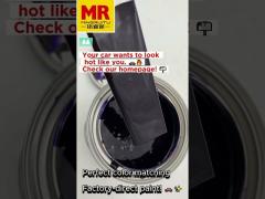 m123 purple light resistance 1k automotive paint coating quick drying