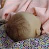 China New arrival soft mohair for american reborn doll wig for sale