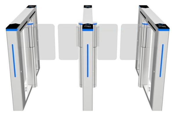 Quality RS485/TCP-IP Communication Interface Speed Gate with Standard 300mm Swing Arm for sale
