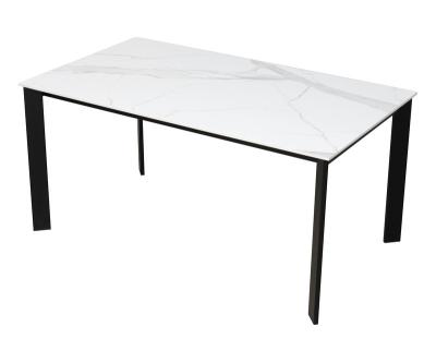 Κίνα Κεραμικό τραπεζάκι 1500*850mm με σταθερή βάση μαύρου μετάλλου προς πώληση