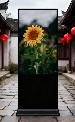 China Panel Size 43 Inch Standing-aid Digital Signage Chinese Language Selection for Chinese Market for sale