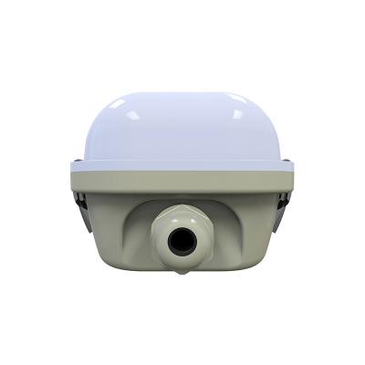 Cina Luce LED impermeabile IP65 multiuso 8FT Batten 3000K senza sfarfallio in vendita