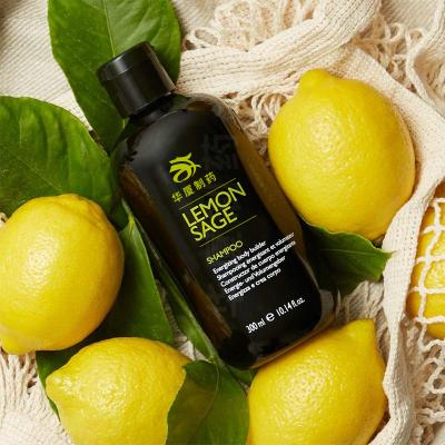 China Van de Citroensage thickening hair shampoo tea van de theeboom de Olie van het de Boomzaad Te koop