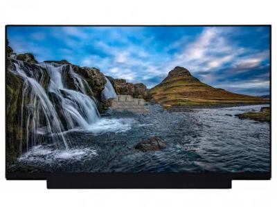 China NT173WDM-N25 BOE 17.3" 1600 ((RGB) × 900, HD+ 250 (cd/m2) INDUSTRIËL LCD-Display Te koop