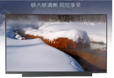 Cina NE160WUM-NX2 BOE 16.0