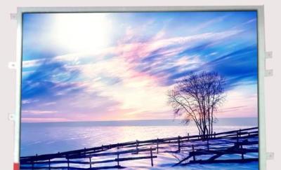 Cina TM097TDHG04 ESPOSIZIONE LCD di INDUSTRIALE del ² di ×768 350 cd/m di TIANMA 9,7
