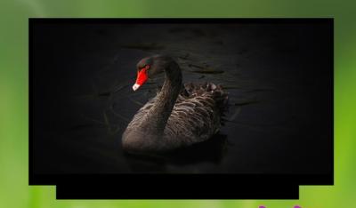 Chine N133HCE-G63 Innolux 13,3 » 1920 (RVB) AFFICHAGES INDUSTRIELS d'affichage à cristaux liquides de ² de ×1080 300 cd/m à vendre