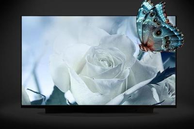 China N161HCA-EA3 INNOLUX 16,1“ 1920 (RGB) ×1080 300 DE INDUSTRIËLE LCD VERTONING VAN CD/M ² Te koop