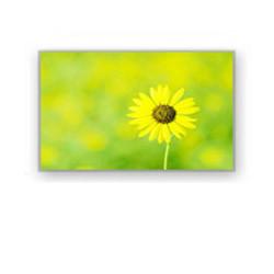 China 4.0“ de Industriële Lcd Vertoning HSD040I3N1-B00 HannStar van 320×240 4700cd/M2 Te koop