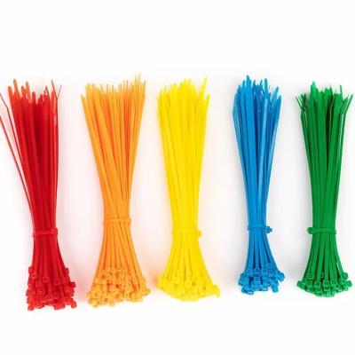 China Custom Silicone Nylon Plastic Cable Ties Injection Moulds For Plastic Cable Tie for sale