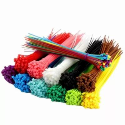 China Custom Silicone Nylon Plastic Cable Ties Injection Moulds For Plastic Cable Tie for sale