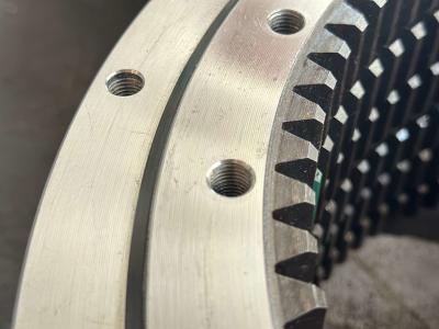 Cina 81NB-01022BG SLEWING BEARING SLEWING RING EXCAVATOR R450-7 in vendita
