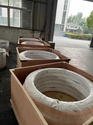 Cina 81N8-00021 SLEWING BEARING SLEWING RING EXCAVATOR R290-7 R300 in vendita