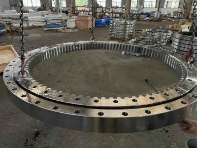 Cina Hyundai Jcb Swing Bearing Ring 81N9-01022 OEM in vendita