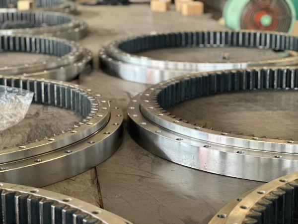 Quality Annealing Single Row Swing Bearing Excavator Slew Ring RKS 061 25 1644 for sale