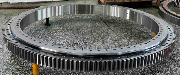 Quality Annealing Single Row Swing Bearing Excavator Slew Ring RKS 061 25 1644 for sale