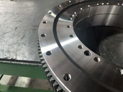 Cina 131.25.560 Giradischi a rotolatore a croce a denti extra con cuscinetto a rotolatore ad anello in vendita