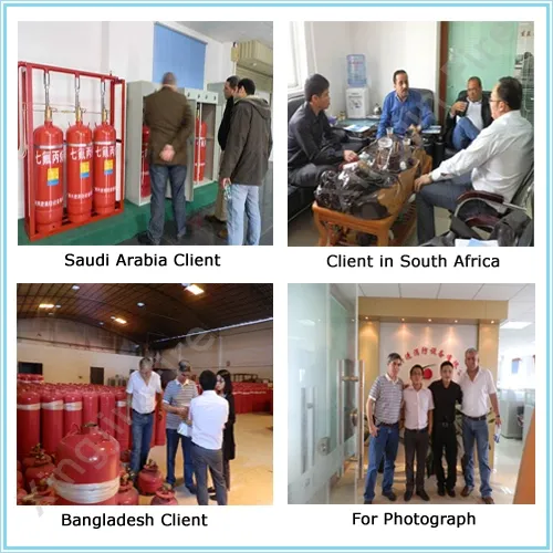 Automatic Ig100 Fixed Fire Suppression System High Quality Cheap Price