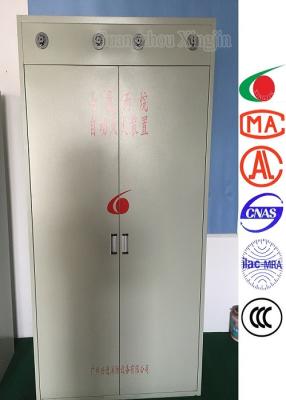 Cina sistema antincendio a doppio armadio in vendita