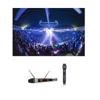 China Pilot Tone Squelch Singing UHF Wireless Microphone for Big Performance for sale