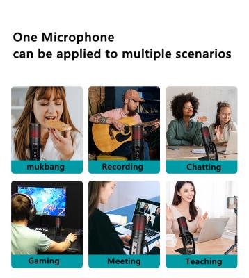 Cina GESTTON ha fissato il microfono della registrazione di USB per Live Streaming Music in vendita
