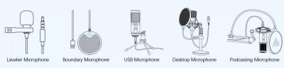 Cina Microfono da tavolino di USB di karaoke di Tiktok con la capsula muta del bottone 14mm in vendita