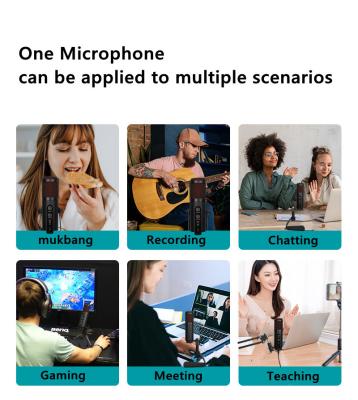 Cina Microfono di ROHS 5V USB con 4 modi di Immersive Reverb in vendita
