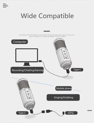 Cina Zoom che incontra il condensatore Mic Plug And Play di Xlr del microfono della registrazione di USB in vendita