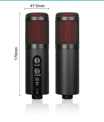 China USB2.0 Dynamic Mic For Recording Vocals Noise Cancelling 98db SNR for sale