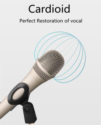 Китай Профессиональный компьютерщик Mic дубляжа микрофона конденсатора гитары ясный ядровый вокальный продается