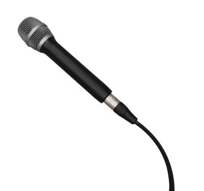 China 20mm*166mm Youtube Podcasting Microfooncondensator Mic For Vocals Te koop