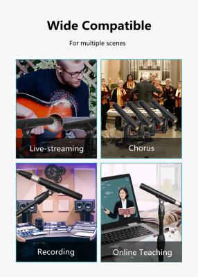 China Leichtes Kondensator-Mikrofon des Studio-201g für on-line-Unterricht zu verkaufen