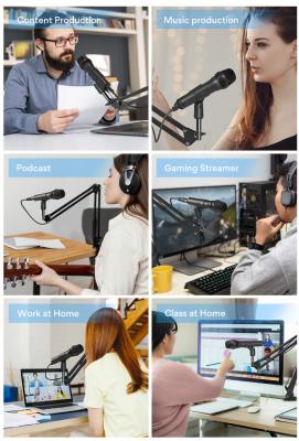 Cina Rumore che annulla il microfono di karaoke di Tiktok di SPL del microfono a condensatore 140dB dello studio in vendita