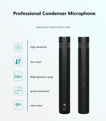 中国 201gポータブルを記録するためのマイクロフォンを取り消すXLRの騒音 販売のため