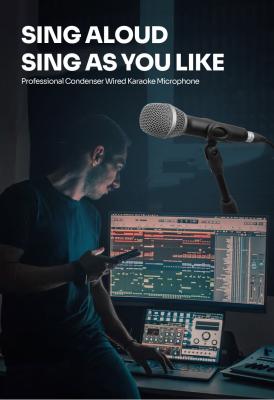 Cina Microfono a condensatore leggero dello studio 176g per il plug and play di YouTube in vendita