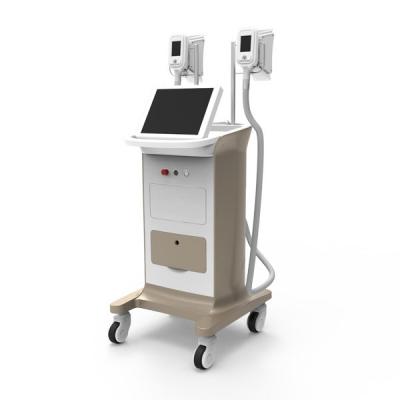 China 2018 Newest factory itself 15 In screen 2 handles cryolipolysis fat freeze slimming machine for sale