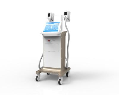 China Manufacturer Hot Sale Cryolipolysis Freezing Fat Removal Equipment with 2 Handles for sale