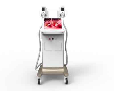 China Most efficient beauty salon use -15~5 Celsius 15 inch body sculpting cryolipolysis freezing fat away machine for sale
