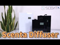 Essenzielle Öl diffusor von Aroma de aire fresco Bluetooth APP Steuerung für die Bar