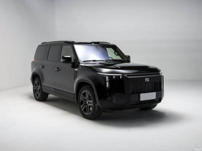 Cina 2023 Baw Polar Stone 01 Auto EVR Extended Range ROX Jishi 01 Veicolo fuoristrada ORV 1.5T 4WD in vendita