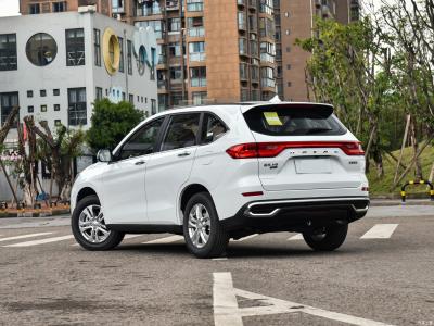 Cina HAVAL M6 1.5T SUV Finestra anteriore elettrica con sollevamento a una chiave anti-pignetto per il mercato 2023 in vendita