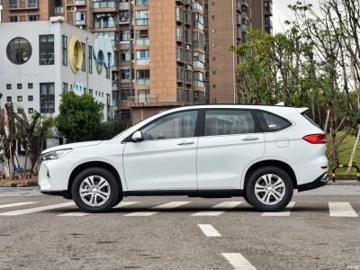Cina HAVAL M6 1.5T SUV Finestra anteriore elettrica con sollevamento a una chiave anti-pignetto per il mercato 2023 in vendita