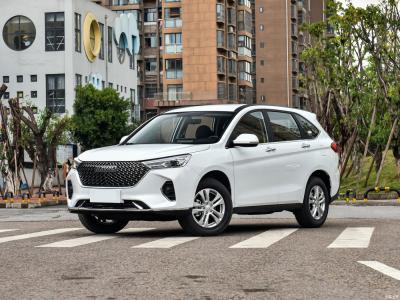 Cina HAVAL M6 1.5T SUV Finestra anteriore elettrica con sollevamento a una chiave anti-pignetto per il mercato 2023 in vendita