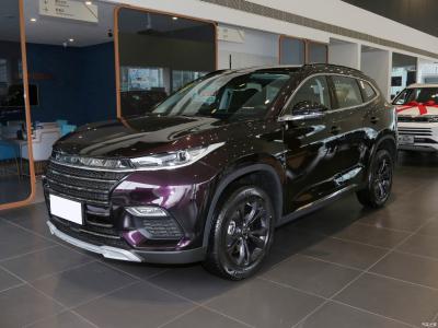 中国 チェリー・シングトゥ 汽油型SUVモデル 2021 電気折り畳み式リアビューミラー付きのシングトゥ TX 販売のため